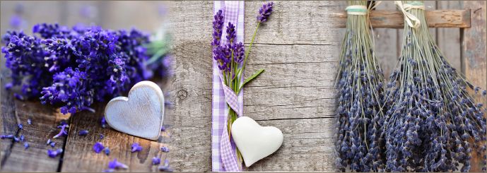 Lavendel aus der Provence: zahlreiche Lavendelprodukte zum Genießen